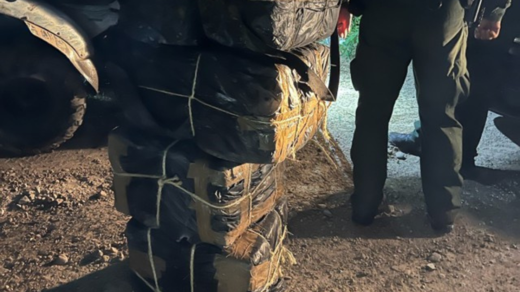 Así se desarrolla la Operación Lone Star - Austin Latino