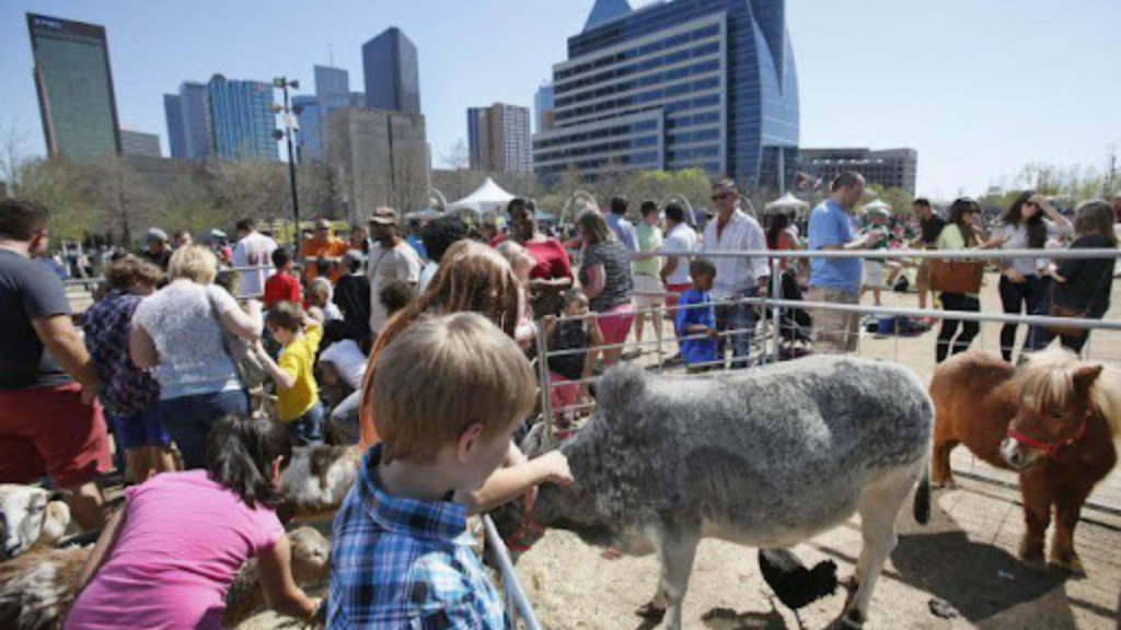Actividades gratis en el norte durante el Spring Break - Austin Latino